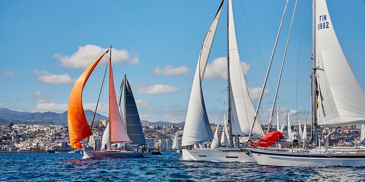 Bluewater Yachts | Bluewater Boats, ARC Rally Official Brokerage
